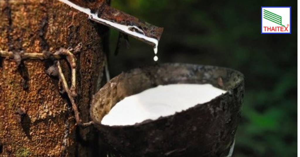 TRUBB Archives - Hoonsmart