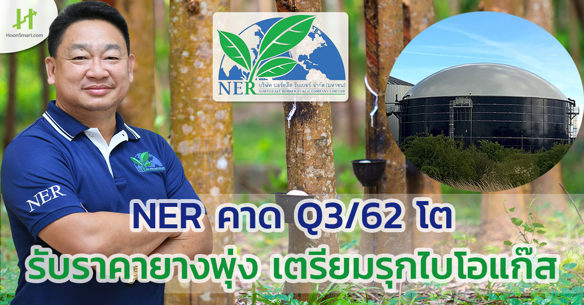 NER คาด Q3/62 โตรับราคายางพุ่ง เตรียมรุกไบโอแก๊ส - Hoonsmart
