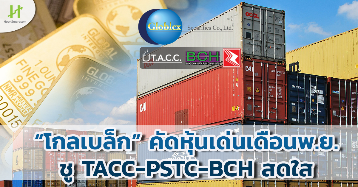 “โกลเบล็ก” คัดหุ้นเด่นเดือนพ.ย. ชู TACC-PSTC-BCH สดใส - Hoonsmart