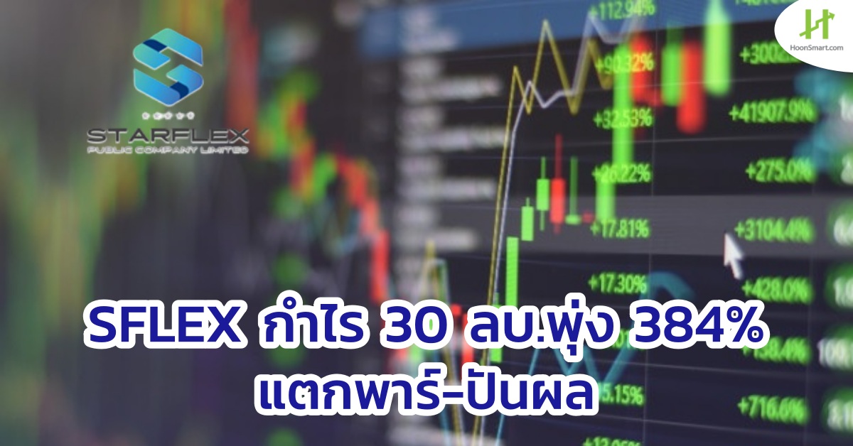 SFLEX กำไร 30 ลบ.พุ่ง 384% แตกพาร์-ปันผล - Hoonsmart