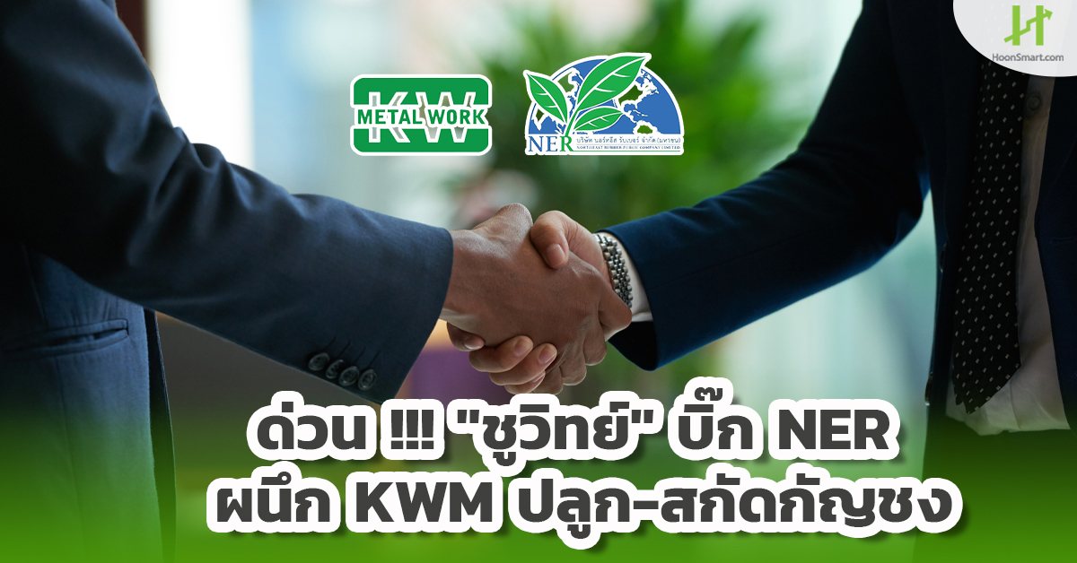 ด่วน !!! "ชูวิทย์" บิ๊ก NER ผนึก KWM ปลูก-สกัดกัญชง - Hoonsmart