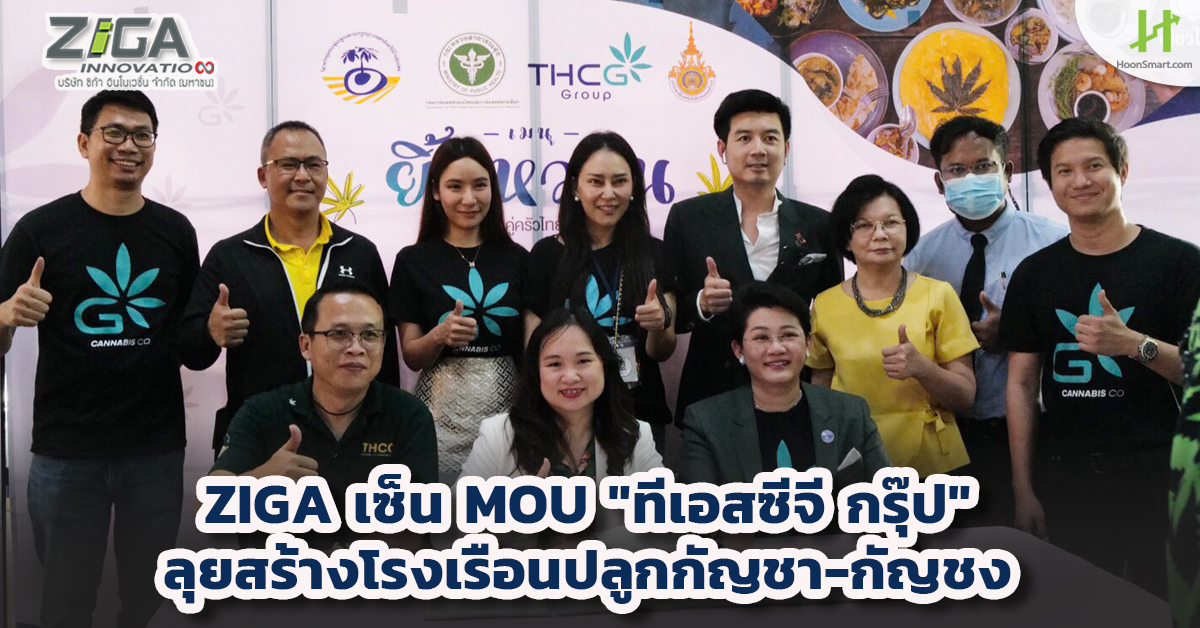 ZIGA เซ็น MOU "ทีเอสซีจี กรุ๊ป" ลุยสร้างโรงเรือนปลูกกัญชา-กัญชง - Hoonsmart