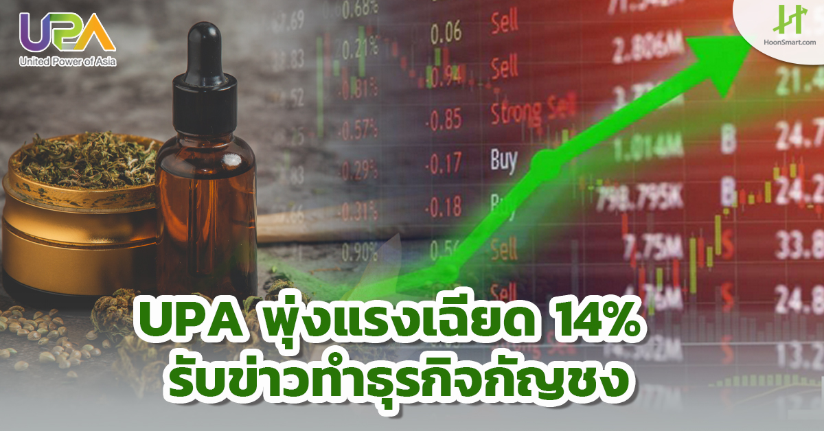 UPA พุ่งแรงเฉียด 14% รับข่าวทำธุรกิจกัญชง - Hoonsmart