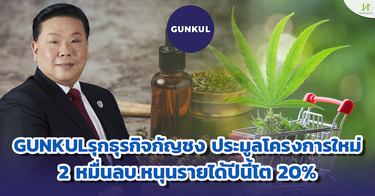 GUNKULรุกธุรกิจกัญชง-ประมูลโครงการใหม่ 2 หมื่นลบ.หนุนรายได้ปีนี้โต 20% - Hoonsmart