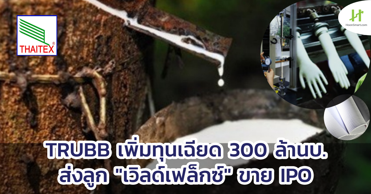 TRUBB เพิ่มทุนเฉียด 300 ล้านบ. ส่งลูก"เวิลด์เฟล็กซ์"ขาย IPO - Hoonsmart