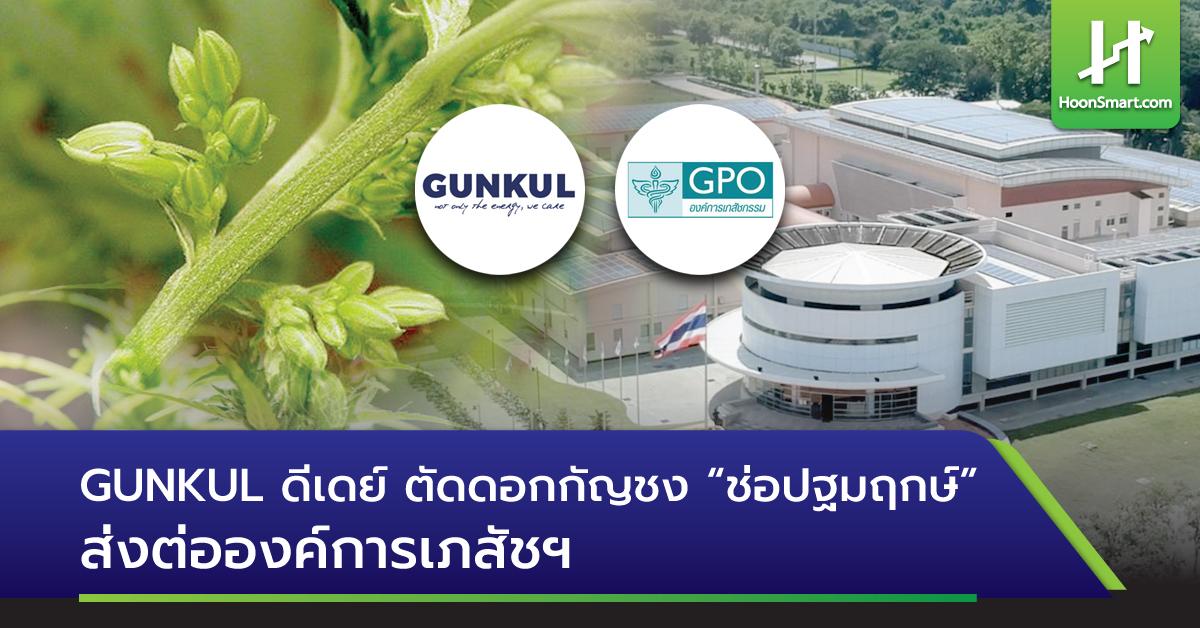 GUNKUL ดีเดย์ ตัดดอกกัญชง “ช่อปฐมฤกษ์” ส่งต่อองค์การเภสัชฯ - Hoonsmart