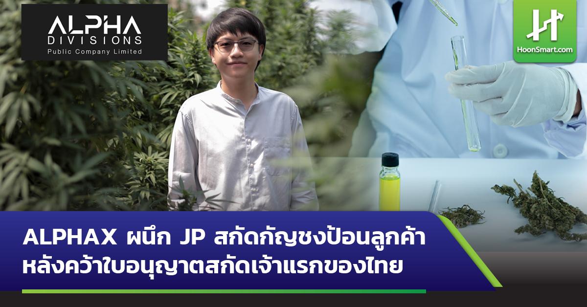 ALPHAX ผนึก JP สกัดกัญชงป้อนลูกค้า หลังคว้าใบอนุญาตสกัดเจ้าแรกของไทย - Hoonsmart