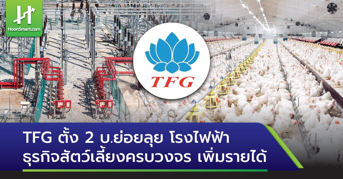 TFG ตั้ง 2 บ.ย่อยลุย "โรงไฟฟ้า-ธุรกิจสัตว์เลี้ยงครบวงจร" เพิ่มรายได้ - Hoonsmart