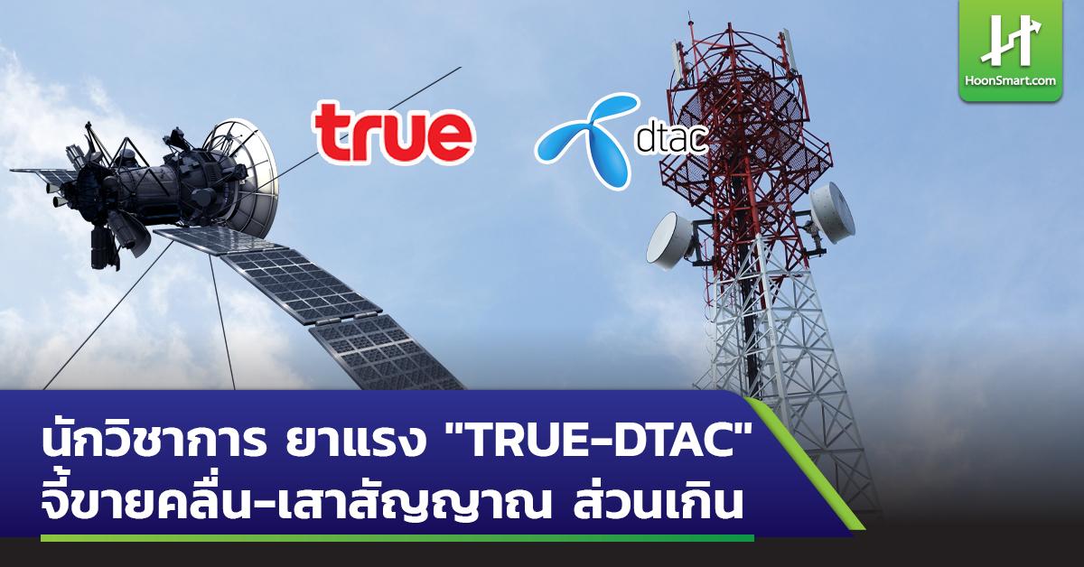 นักวิชาการ ยาแรง "TRUE-DTAC" จี้ขายคลื่น-เสาสัญญาณ ส่วนเกิน - Hoonsmart