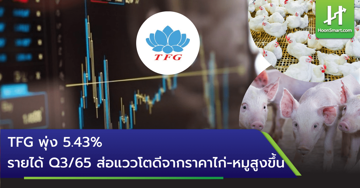 TFG พุ่ง 5.43% รายได้ Q3/65 ส่อแววโตดีจากราคาไก่-หมูสูงขึ้น - Hoonsmart
