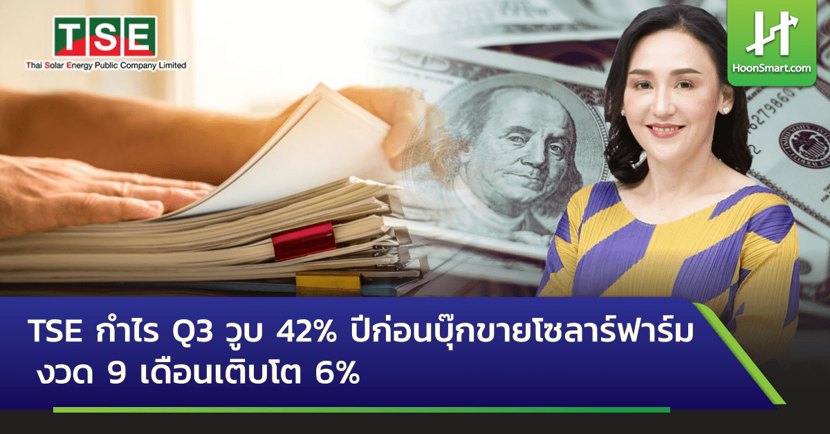 TSE กำไร Q3/65 วูบ 42% ปีก่อนบุ๊กขายโซลาร์ฟาร์ม-9 เดือนโต 6.4% - Hoonsmart