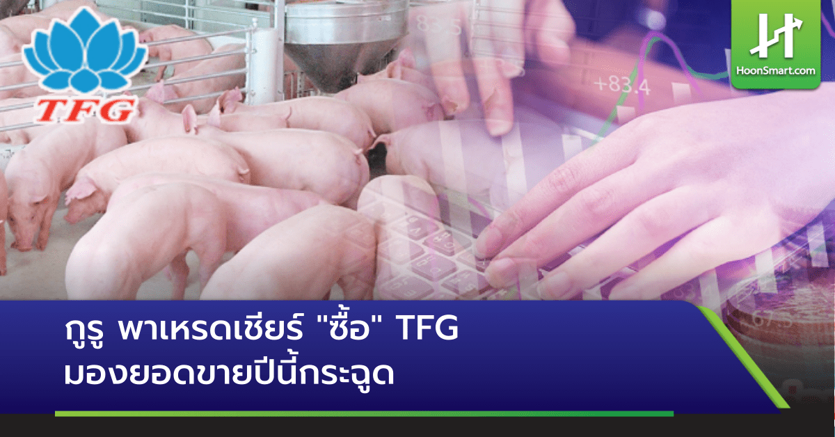 กูรู พาเหรดเชียร์ "ซื้อ" TFG มองยอดขายปีนี้กระฉูด - Hoonsmart