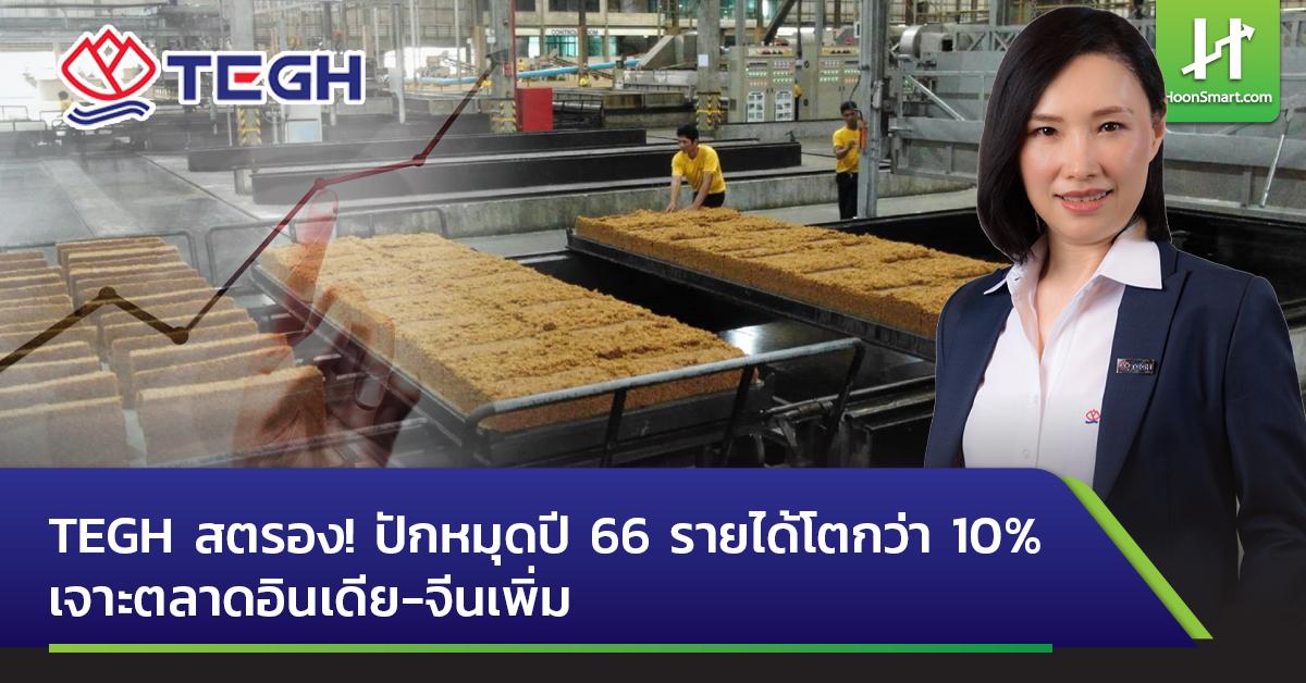 TEGH สตรอง! ปักหมุดปี 66 รายได้โตกว่า 10% เจาะตลาดอินเดีย-จีนเพิ่ม - Hoonsmart