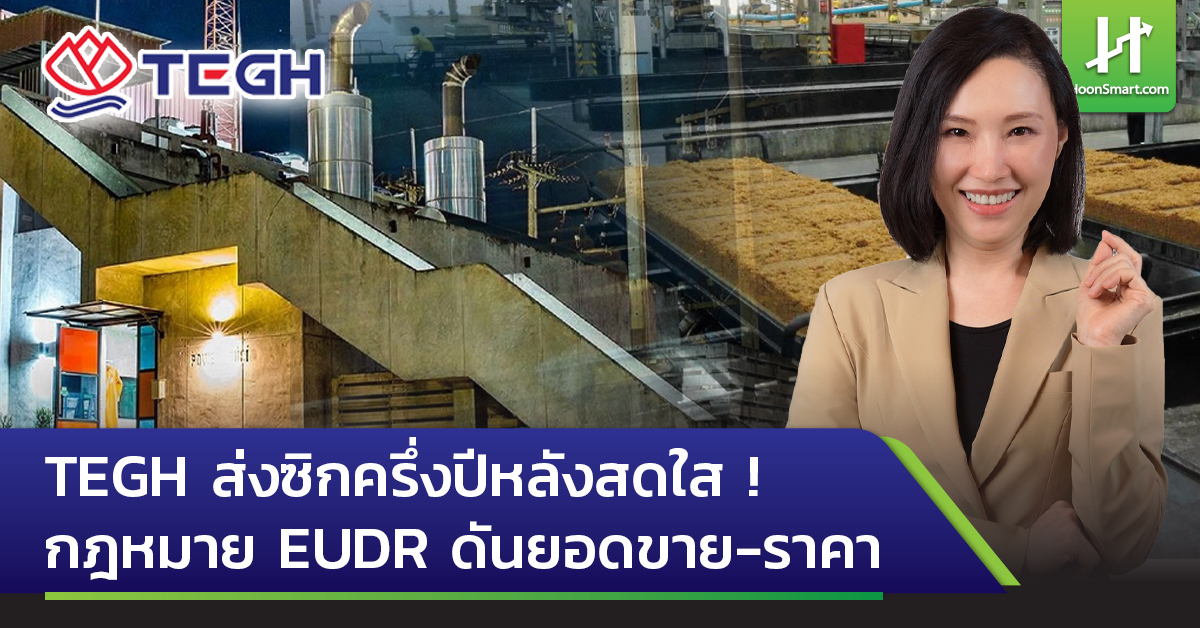 TEGH ส่งซิกครึ่งปีหลังสดใส ! กฎหมาย EUDR ดันยอดขาย-ราคา - Hoonsmart