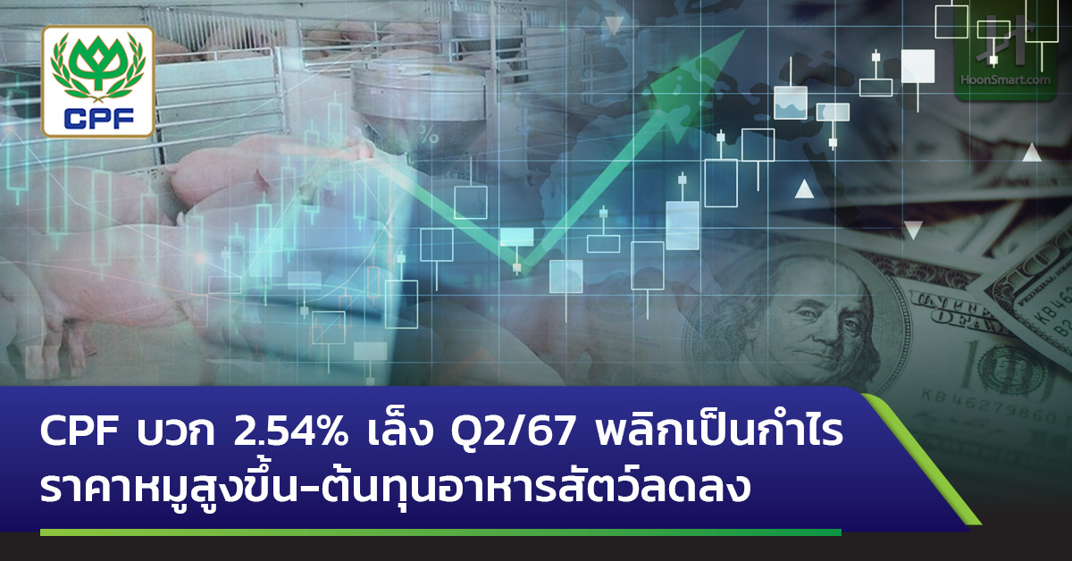 CPF บวก 2.54% เล็ง Q2/67 พลิกเป็นกำไร ราคาหมูสูงขึ้น-ต้นทุนอาหารสัตว์ลดลง - Hoonsmart