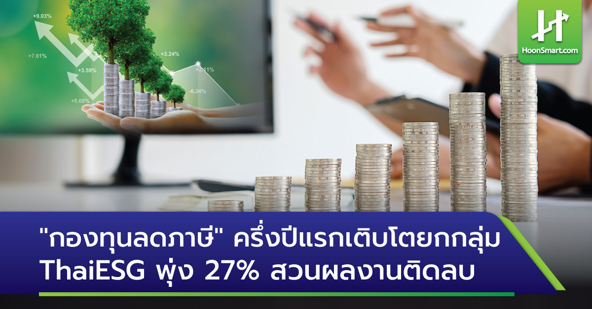 "กองทุนลดภาษี" ครึ่งปีแรกเติบโตยกกลุ่ม ThaiESG พุ่ง 27% สวนผลงานติดลบ - Hoonsmart
