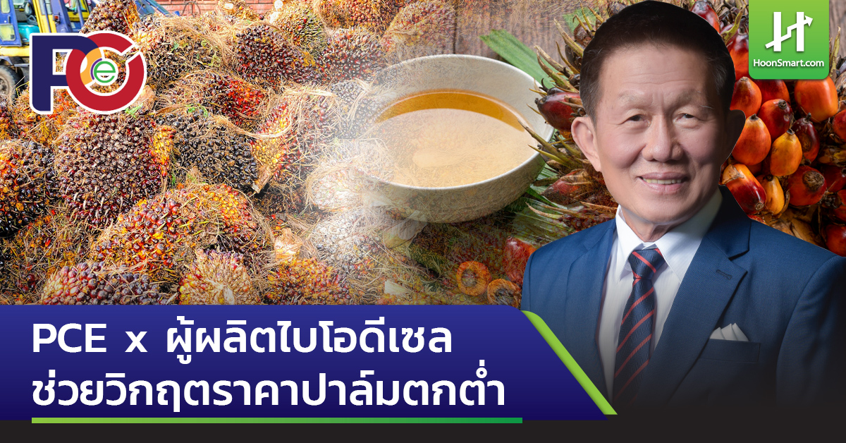 PCE X ผู้ผลิตไบโอดีเซล ...ช่วยวิกฤตราคาปาล์มตกต่ำ - Hoonsmart