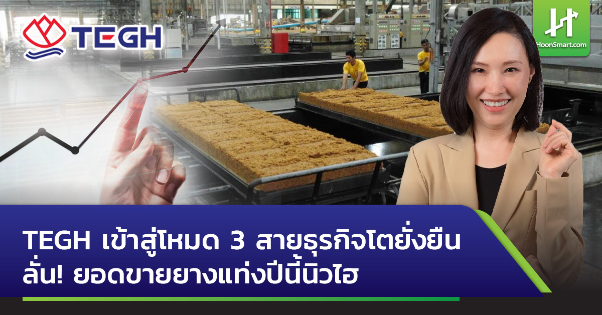 TEGH เข้าสู่โหมด 3 สายธุรกิจโตยั่งยืน ..ลั่น ! ยอดขายยางแท่งปีนี้นิวไฮ - Hoonsmart