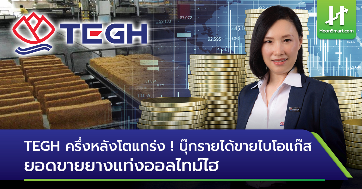 TEGH ครึ่งหลังโตแกร่ง ! บุ๊กรายได้ขายไบโอแก๊ส ... ยอดขายยางแท่งออลไทม์ไฮ - Hoonsmart