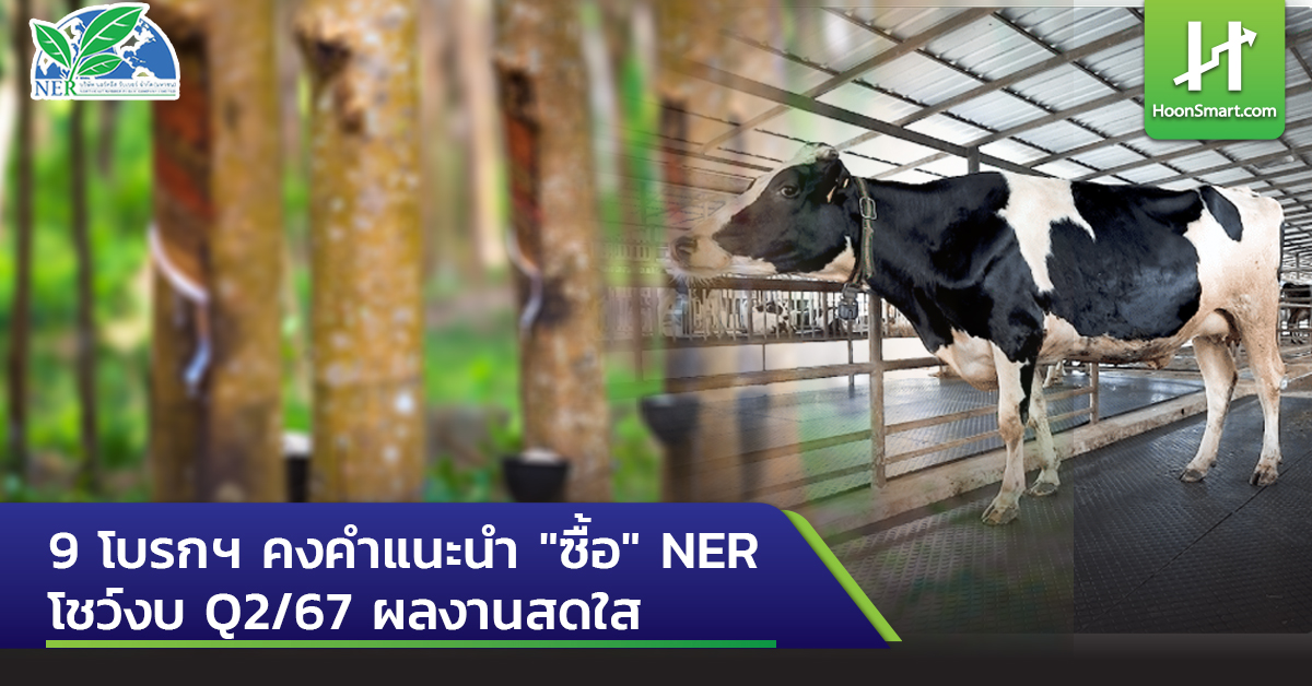 9 โบรกฯ คงคำแนะนำ "ซื้อ" NER โชว์งบ Q2/67 ผลงานสดใส - Hoonsmart
