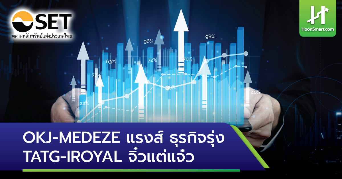 OKJ-MEDEZE แรงส์ ธุรกิจรุ่ง TATG-IROYAL จิ๋วแต่แจ๋ว 23