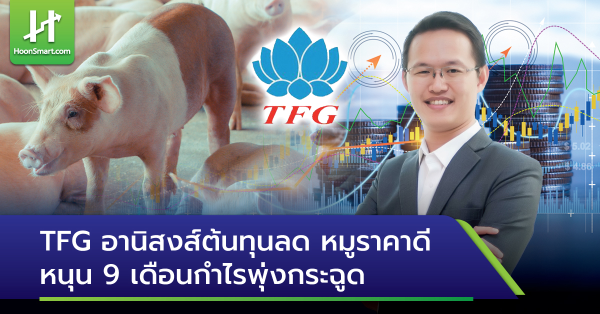 TFG อานิสงส์ต้นทุนลด หมูราคาดี ...หนุน 9 เดือนกำไรพุ่งกระฉูด - Hoonsmart