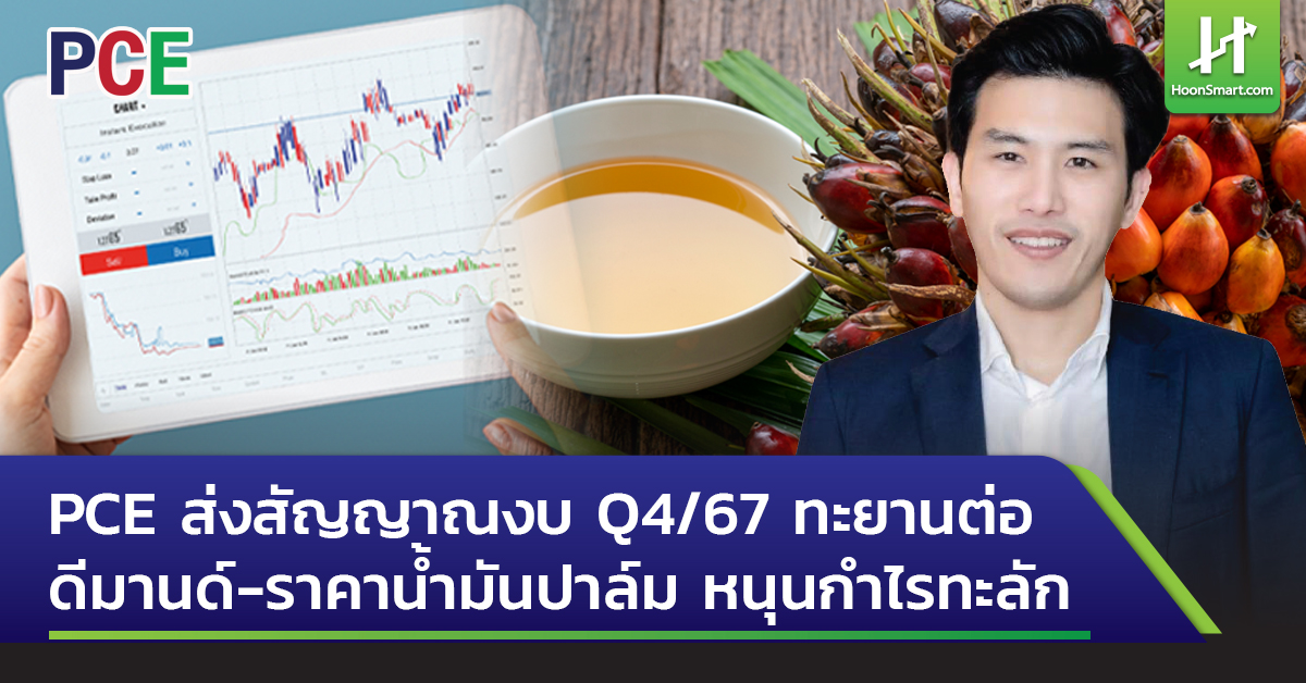 PCE ส่งสัญญาณงบ Q4/67 ทะยานต่อ ดีมานด์-ราคาน้ำมันปาล์ม หนุนกำไรทะลัก - Hoonsmart