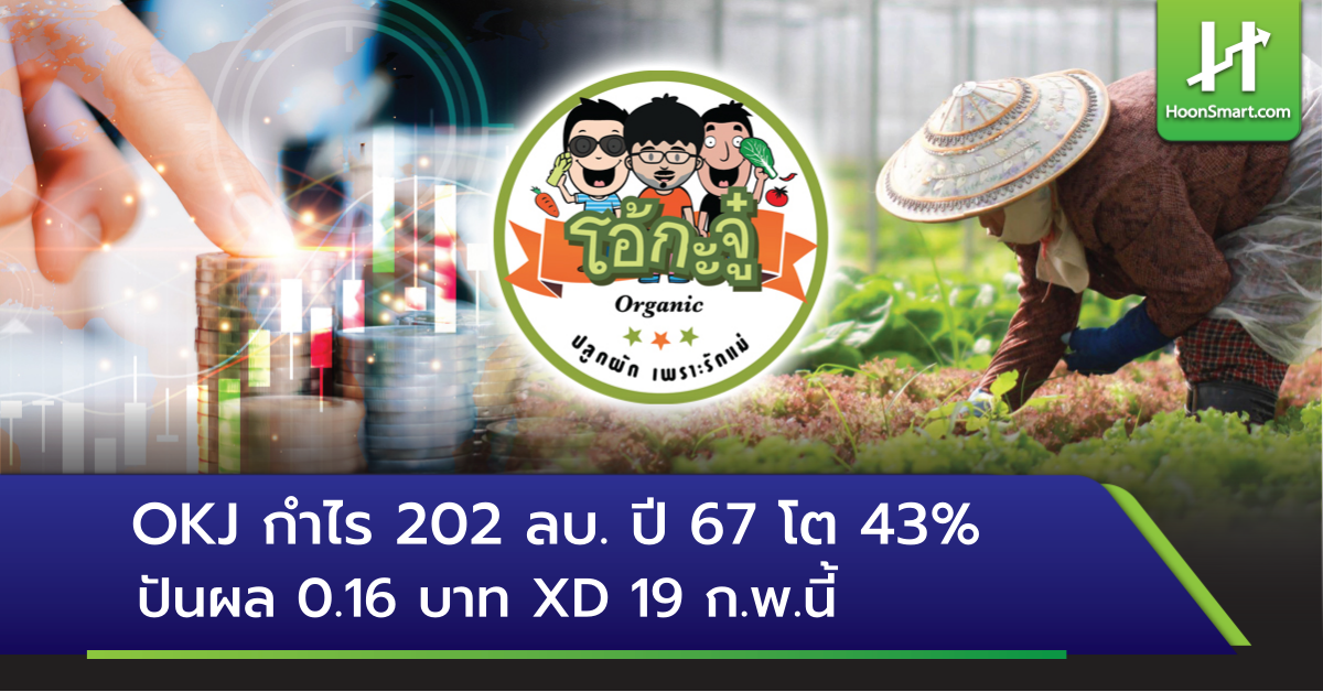 OKJ โชว์กำไร 202 ลบ. ปี 67 โต 43% ปันผล 0.16 บาท XD 19 ก.พ.นี้ - Hoonsmart