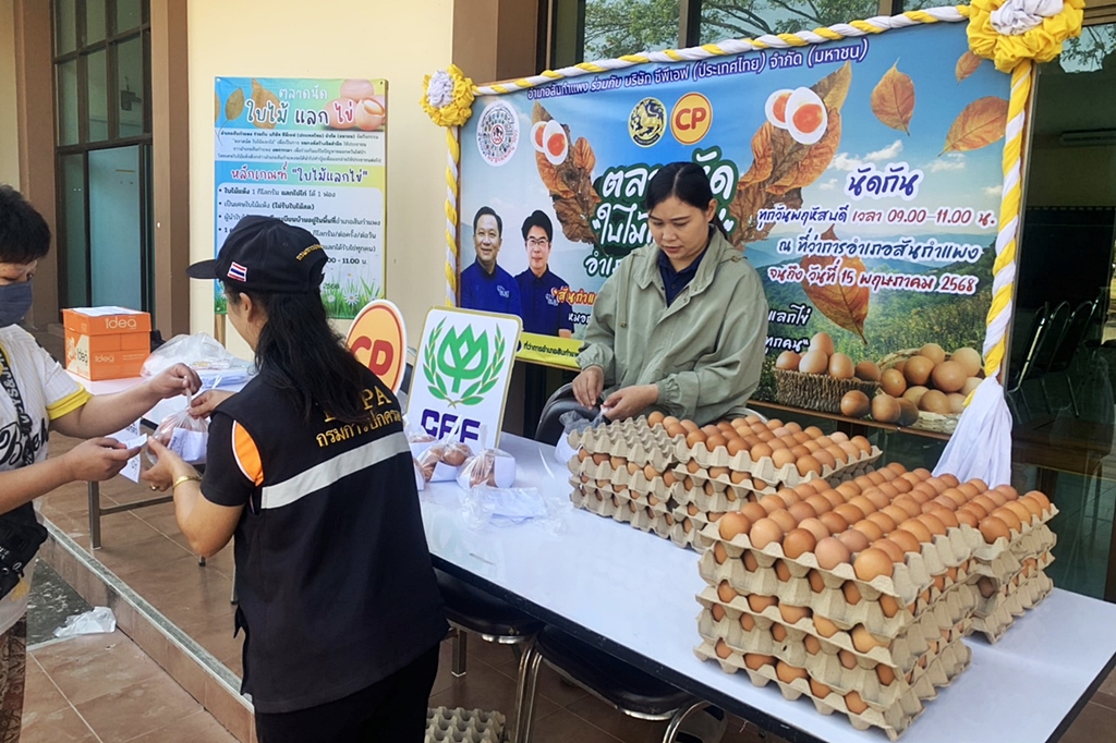 CPF เปิด "ตลาดนัดใบไม้แลกไข่" รณรงค์หยุดเผาป่า- ลด PM2.5 - Hoonsmart