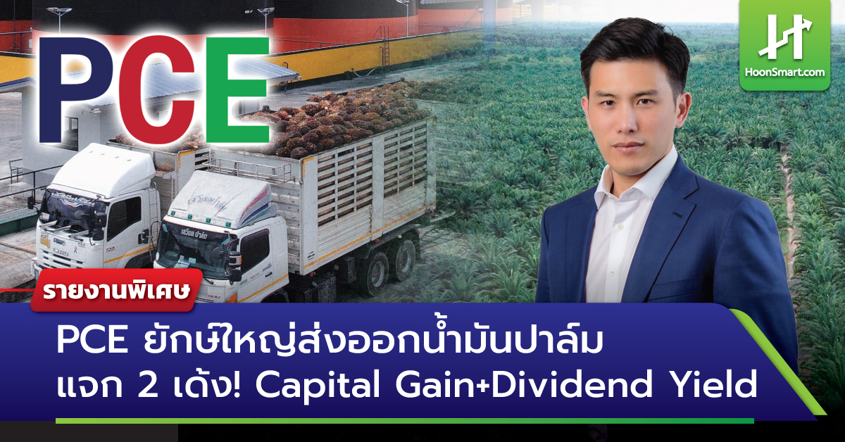 PCE ยักษ์ใหญ่ส่งออกน้ำมันปาล์ม แจก 2 เด้ง! Capital Gain+Dividend Yield - Hoonsmart