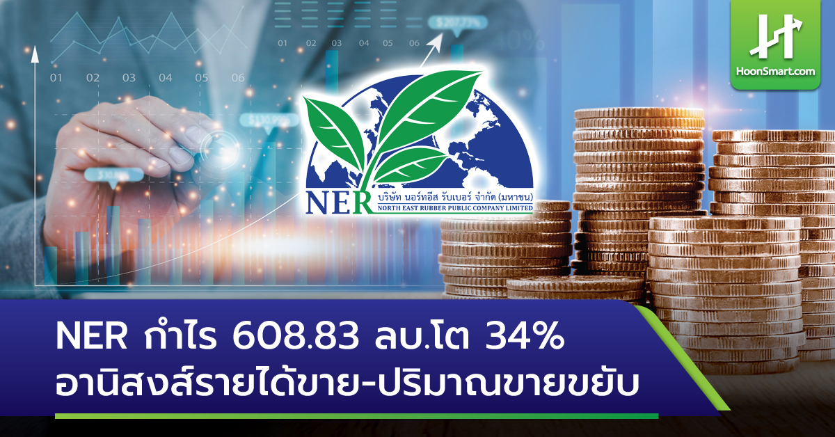 NER กำไร 608.83 ลบ. รายได้-ปริมาณขายโตฉ่ำ ราคาขายยางพุ่ง 20% - Hoonsmart