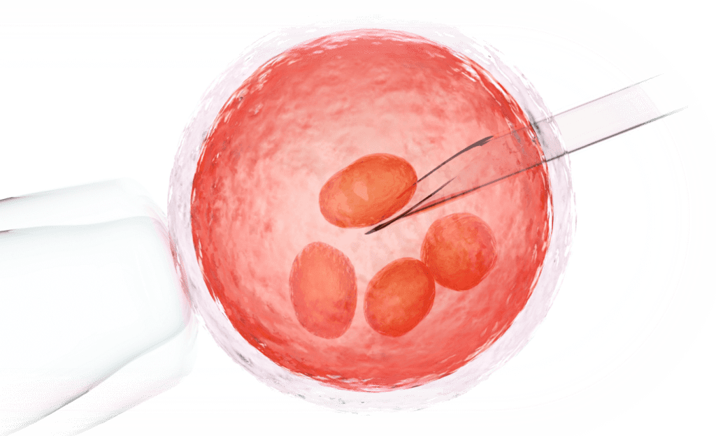 SAFE อวดไตรมาส 1/68 กำไร 32 ลบ. - Hoonsmart