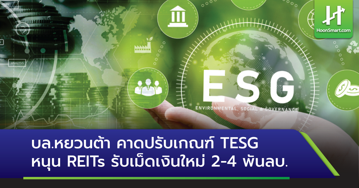 3BBIF - ข่าวสาร - SETTRADE.COM