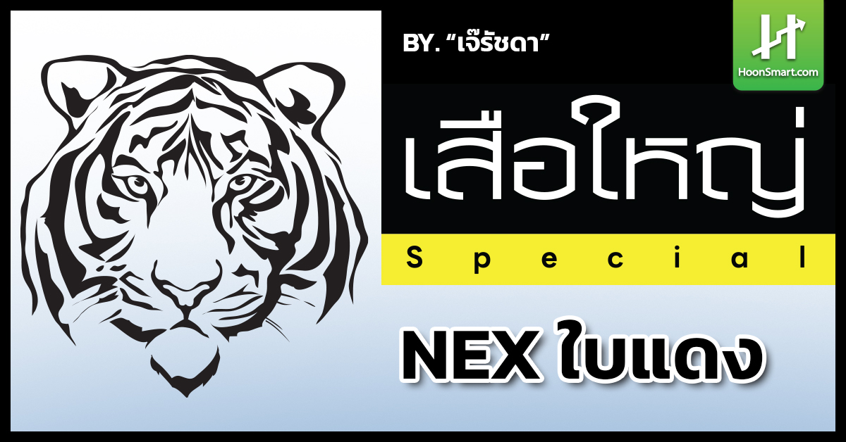 เสือใหญ่สเปเชี่ยล : NEX ใบแดง - Hoonsmart